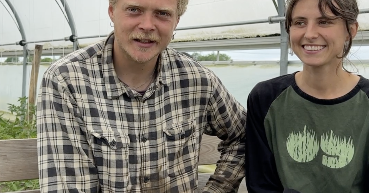 Verse groenten van Charlie en Roby - Tuinderij… - Duurzaam Groningen